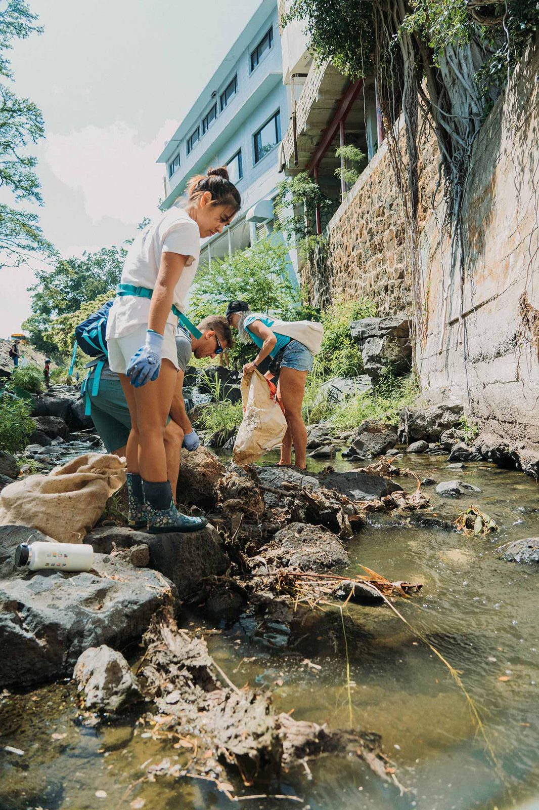 Sustainable Coastlines – Fair Harbor