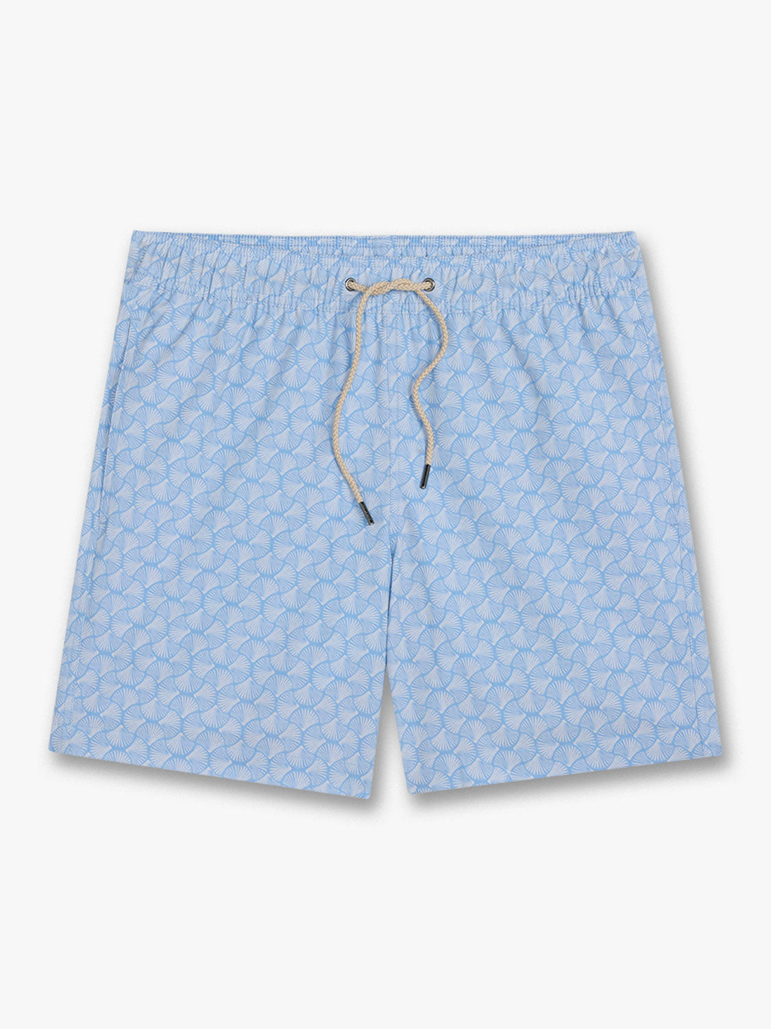 Bayberry Trunk | Sky Blue Shells